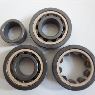 China Ceramic Cylindrical Roller Bearings Single Row Si3N4 SSiC ZrO2 for sale