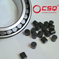 China Ceramic Cylindrical Roller Bearings Single Row with Si3N4 Material and PEEK Cage for High Temperature Resistance for sale