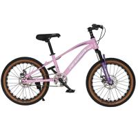 China 20inch Lightweight Mountain Bike Junior MTB Bike With Carrier 7 Gear for sale