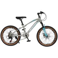 China 20inch Lightweight Mountain Bike Junior MTB Bike With Carrier 7 Gear for sale