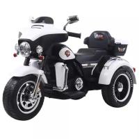 China Remote Control Exquisite Kids Electric Motorcycle 3 Wheel 6-12km/H Speed for sale