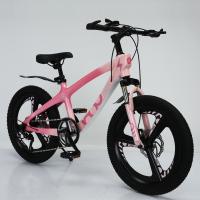 China 20In Red Lightweight Mountain Bike for sale