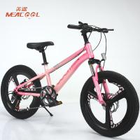 China Fashionable Lightweight Mountain Bike 24 
