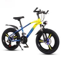 China Multicolored 20in Lightweight Mountain Bike For Children'S Outdoor Adventures for sale
