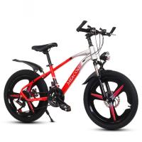 China Multicolored 20in Lightweight Mountain Bike For Children'S Outdoor Adventures for sale