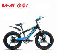 China OEM  21speed  Full Suspension Mountain Bike for sale