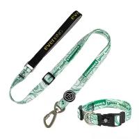 China Stylish Dog Collar And Leash Set Custom Pet Collars Fashionable With Skin Friendly Material for sale