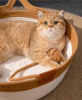 China Hypoallergenic Pet Nest Reducing Allergens and Providing Safe Resting Environment for Sensitive Pets for sale
