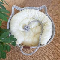 China Warm Winter Cat Bed Sisal Scratching Board Lint Free Vertical Cat Climbing Frame for sale