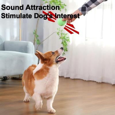 China Durable Non Toxic Dog Pet Toys Designed to Keep Dogs Engaged and Promote Healthy Chewing Habits for Long Lasting Fun for sale
