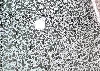 China PVD Coating / Coloured Cold Rolled Stainless Steel Sheet 201 For Decoration for sale