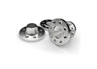 China Pickling polishing DN600 Forged Stainless Steel 304 Flanges for sale