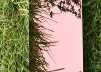 China PVD Coating Rose  Mirror Finished  Stainless Steel Sheets Gold for sale