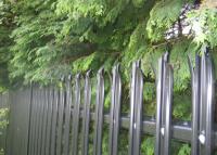 China 70mm W Pale 3.0mm Hot Dip Galvanized Steel Palisade Fencing for Residential Security for sale
