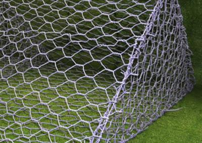 China Hot Dip Galvanized Diamond Gabion Box for Slope Protection 80*100mm for sale