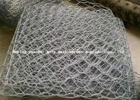 China Durable Gabion Wire Mesh 2-3.5mm Diameter with 60×80mm to 100×120mm Aperture for Zoo Fence Construction for sale