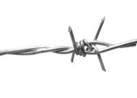 China Galvanized Steel Barbed Wire Fencing 1.6mm-3.2mm Diameter with 1.5cm-3cm Barb Length for Security for sale