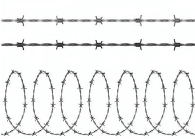 China Galvanized High Tensile Barbed Wire with 3-6 Inch Spacing Options for Agricultural Fencing Security for sale