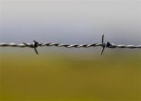 China Durable  Pvc Coated Barbed Wire , Barbed Fencing Wire Bulk Weight OEM for sale