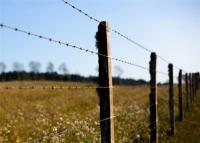 China Durable  Pvc Coated Barbed Wire , Barbed Fencing Wire Bulk Weight OEM for sale