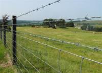 China Industrial Hot Dipped Steel Barbed Wire - 7.5-15cm Barb Spacing, 1.5-3cm Barb Length for Heavy Duty Security Fencing for sale