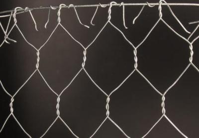 China Hexagonal Chicken Wire Mesh 2-3.5mm Gauge in 0.5-2m Widths with Galvanized Steel Construction for sale