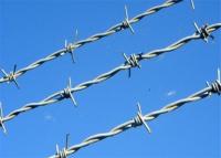 China Hot Dip Galvanized Concertina Cbt High Strength 65 Razor Wire for sale