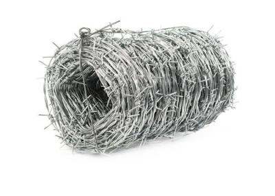 China Double Strand Traditional Twist Barbed Wire 150-400m Length with 10-20kg Coils for Security Fencing for sale