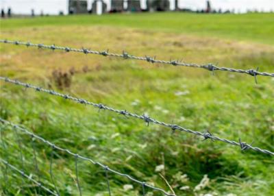China 16 Gauge Galvanized Barbed Wire with 3-6 Inch Barb Spacing for Security Fencing Systems for sale