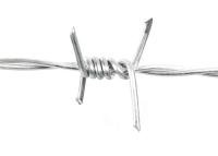China 50kg Coil Galvanized Steel Barbed Wire 1.6mm Diameter for Security Fencing with 3-6 Inch Barb Spacing for sale