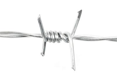 China 50kg Coil Galvanized Steel Barbed Wire 1.6mm Diameter for Security Fencing with 3-6 Inch Barb Spacing for sale