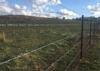 China 1.6mm HDG Reverse Twist Barbed Wire - Hot Dipped Galvanized Steel with 3-6 Inch Barb Spacing for Perimeter Security for sale