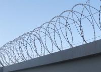 China Hot Dip Galvanized Cbt 65 Razor Wire PVC Coated 900mm For Boundary Fencing for sale