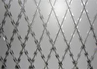 China Concertina 500mm 35 Loops Razor Barbed Wire Hot Dipped Galvanized for sale