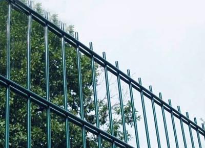 China Gardenhouse 6/5/6 Metal Yard Fence Double Bar 1.2mm Post - 2.5m Width 2430mm Height Galvanized Security Fencing for sale