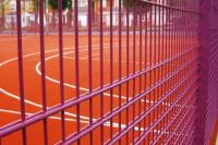 China PVC Double Loop Wire Fence Panels 6/5/6mm Wire Diameter 50×200mm Mesh Size for Industrial Security for sale