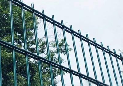 China Hot Dip Galvanized 868 Prison Twin Mesh Fencing - 2.5m Height with 8/6/8mm Wire Diameter for High Security for sale
