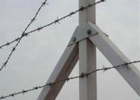 China ISO9001 Electro Galvanized 14 Gauge High Tensile Barbed Wire Coil For for sale