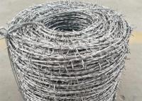 China 2.0mm Electro Galvanized Steel Barbed Wire - Double Twist Construction with 7.5-15cm Barb Spacing for High Security Fencing for sale