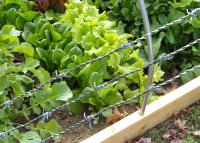 China Hot Dipped Galvanized Steel Barbed Wire 12Gauge for Security Fencing for sale