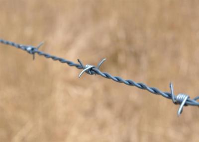 China Hot Dip Galvanized Double Twist Barbed Wire 14 Gauge For Private Area for sale