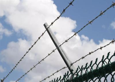 China Low Carbon 12 Gauge Galvanised Steel Barbed Wire For Preventing Theft for sale