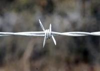 China Hot Dip Galvanized Iron Barbed Wire Farm Boundary 12 X 14 Gauge 20kg / Roll for sale