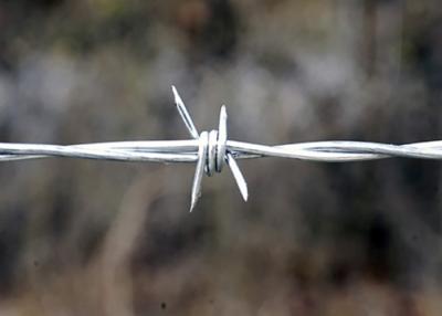 China Hot Dip Galvanized Iron Barbed Wire Farm Boundary 12 X 14 Gauge 20kg / Roll for sale