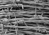 China Double Twist 25kg Roll Steel Barbed Wire 2.0mm Fully Galvanised Security Protection for sale