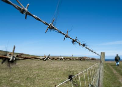 China Double Twist 25kg Roll Steel Barbed Wire 2.0mm Fully Galvanised Security Protection for sale