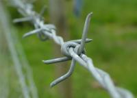 China Galvanized ety Farm Single Twist Barbed Wire 14 Gauge Protective High Tensile for sale