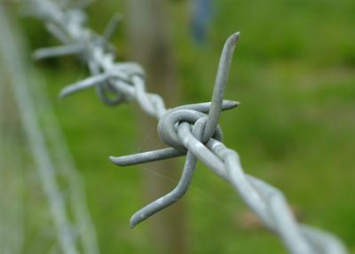 China Galvanized ety Farm Single Twist Barbed Wire 14 Gauge Protective High Tensile for sale