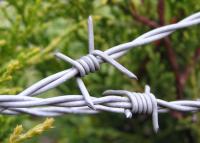 China Electro Galvanized Steel Barbed Wire ety 16 X 14 Gauge 25kg / Roll For for sale