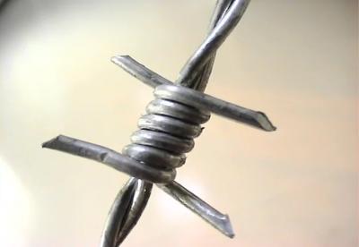 China Pvc Coated Double Twist Steel Barbed Wire 50kg Roll For Railway for sale